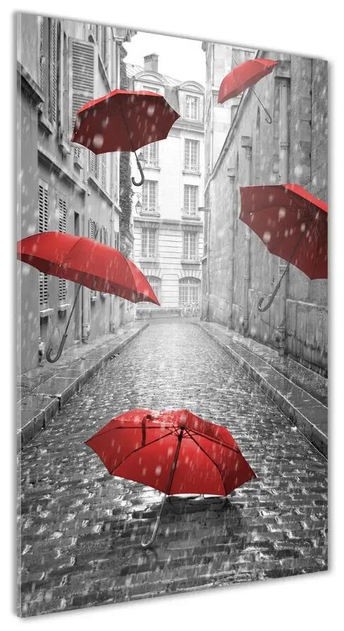 Wallmuralia Vertikální Fotoobraz na skle Deštník Francie 50x100