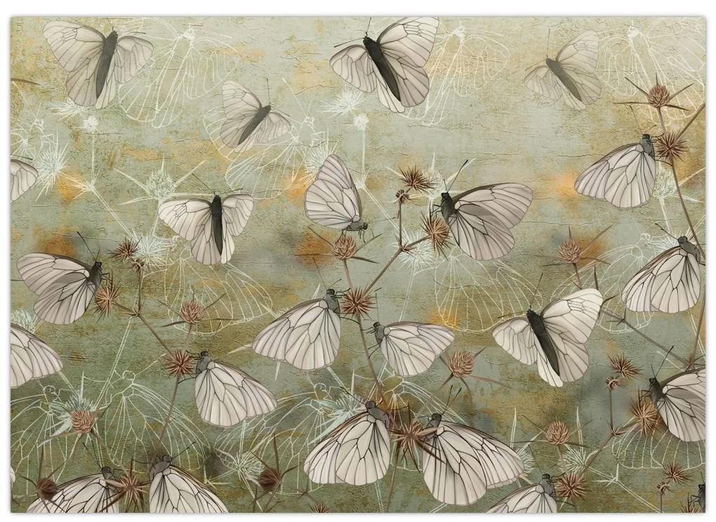 Skleněný obraz - Vintage motýli (70x50 cm)