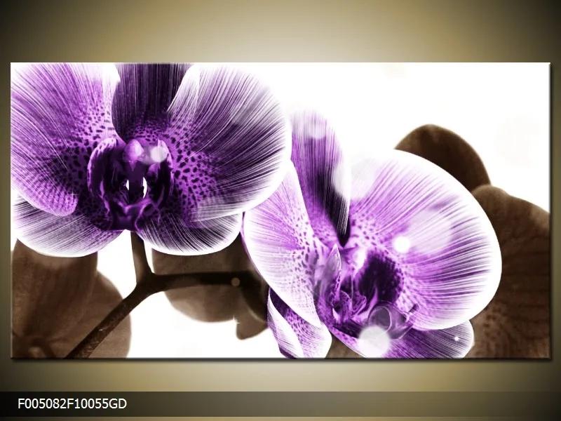 Obraz krásných fialových orchidejí (), 40 dalších rozměrů