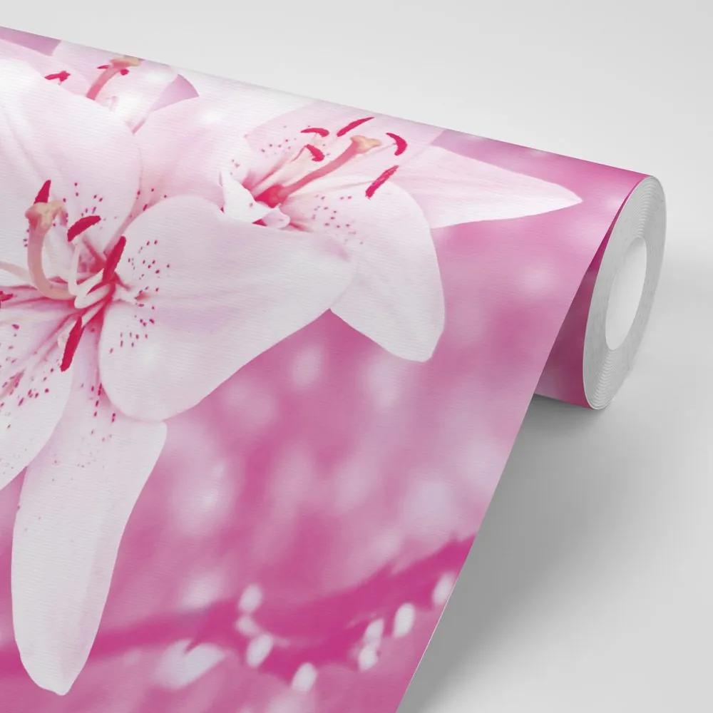 Samolepící fototapeta lilie v růžovém kabátu