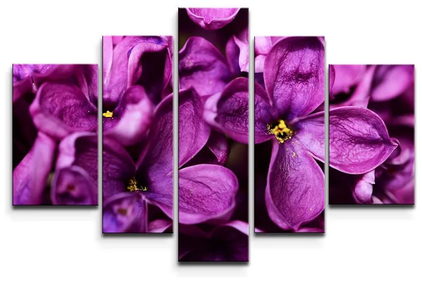 Sablio Obraz - 5-dílný Fialové květy - 125x90 cm