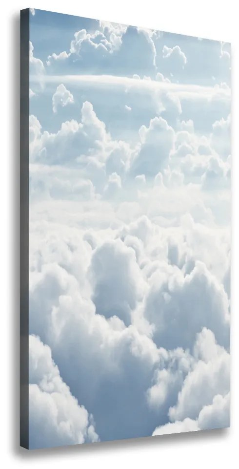 Wallmuralia Vertikální Foto obraz na plátně Let nad mraky 50x100