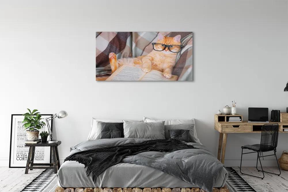 akrylový obraz Čtenář cat 125x50 cm