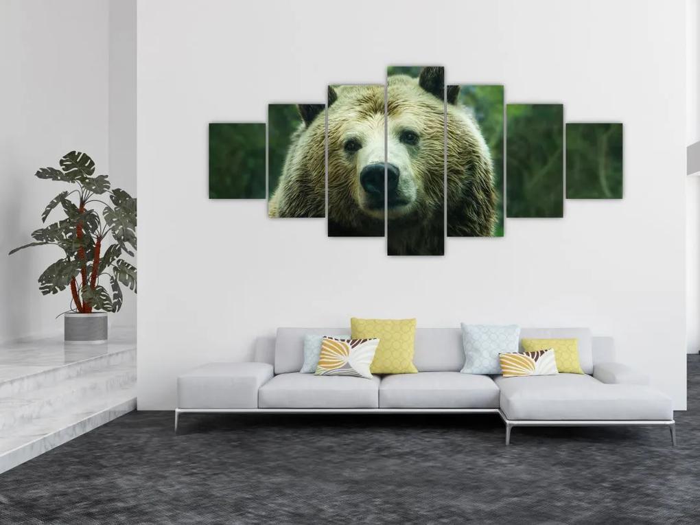 Obraz medvěda (210x100 cm)