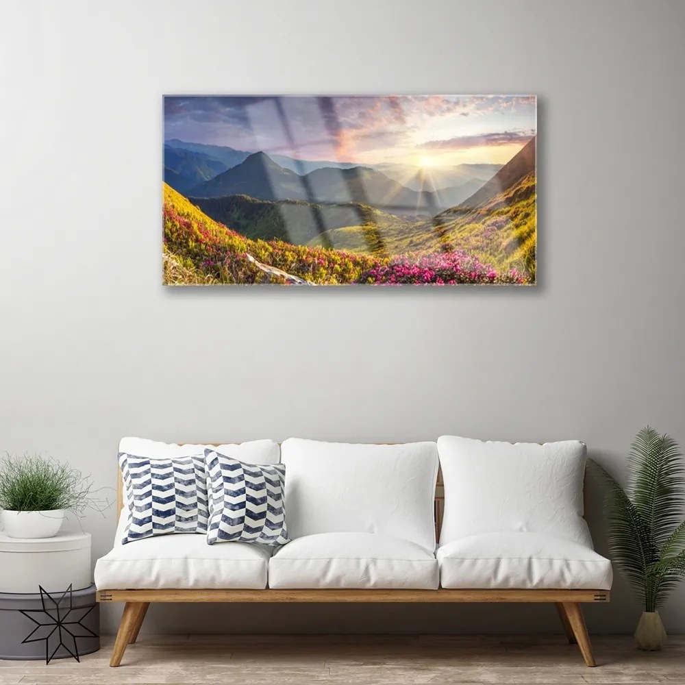 Obraz na skle Hora Louka Slunce Krajina 100x50 cm