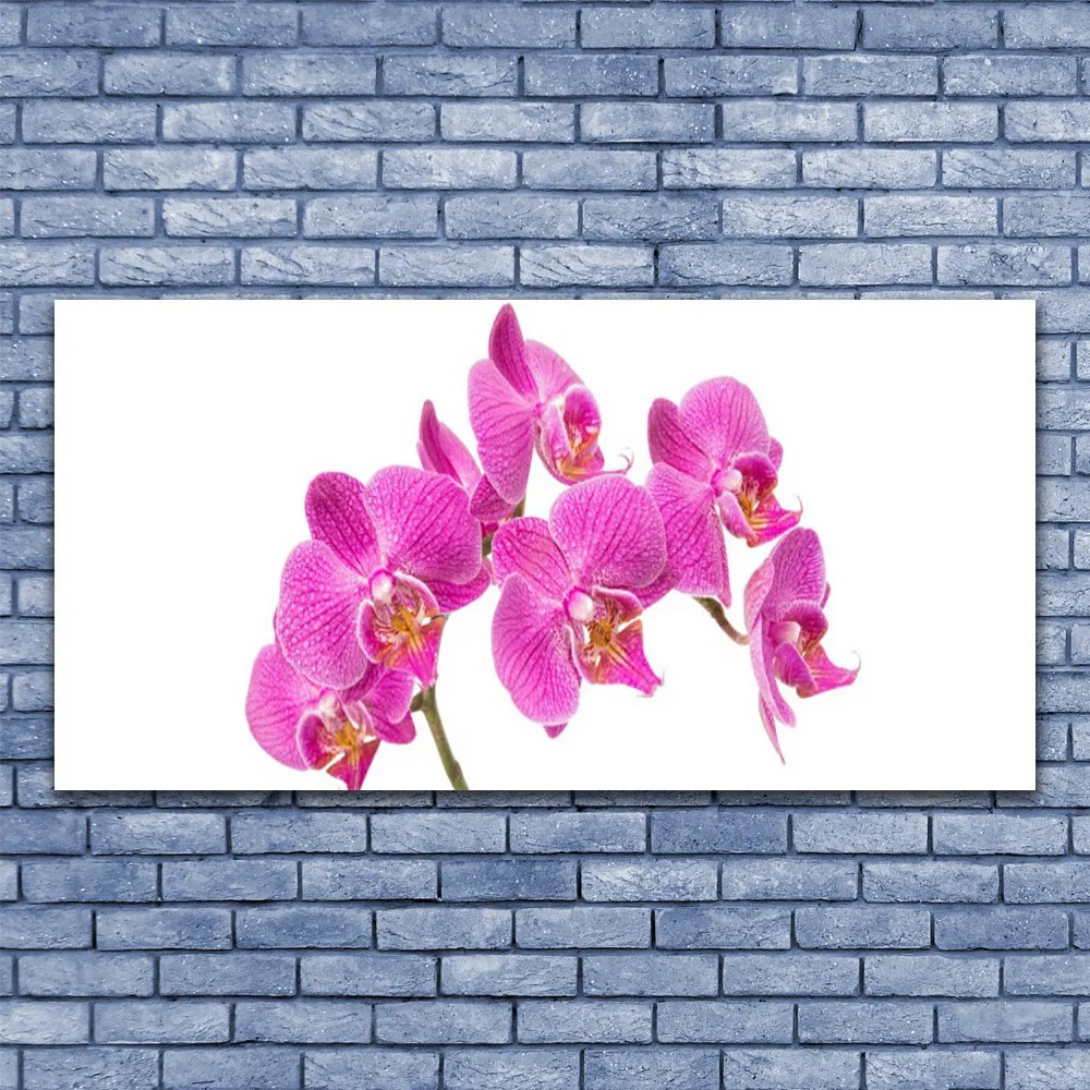 Plexisklo-obraz Orchidej Květiny Příroda 120x60 cm