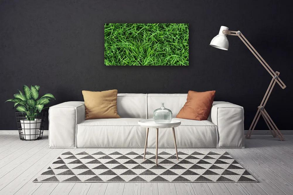 Obraz na plátně Tráva Trávník 140x70 cm