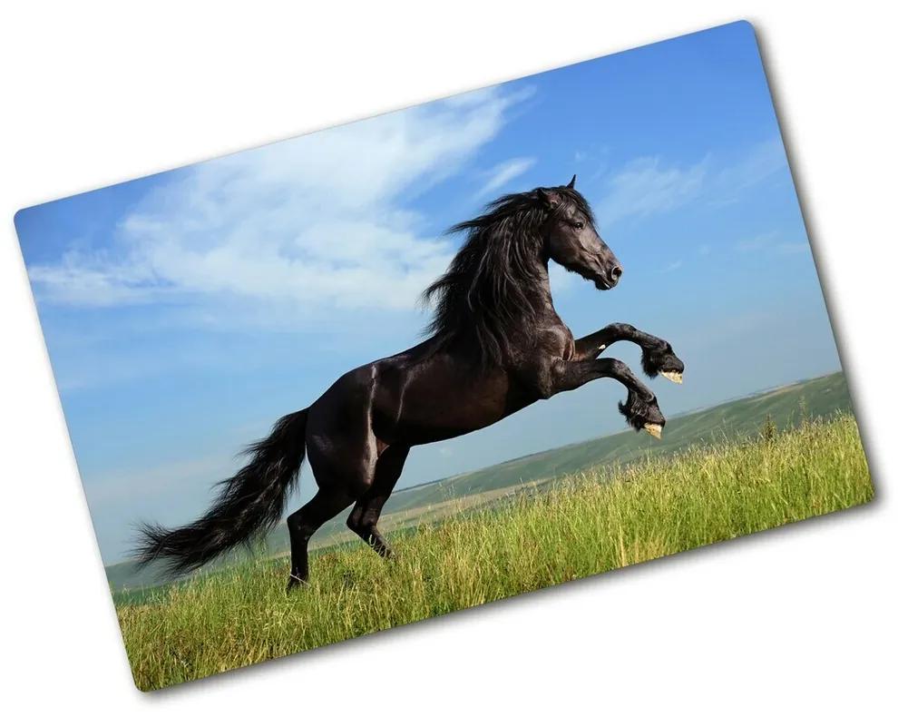 Wallmuralia Kuchyňská deska skleněná Černý kůň na louce 80x52 cm