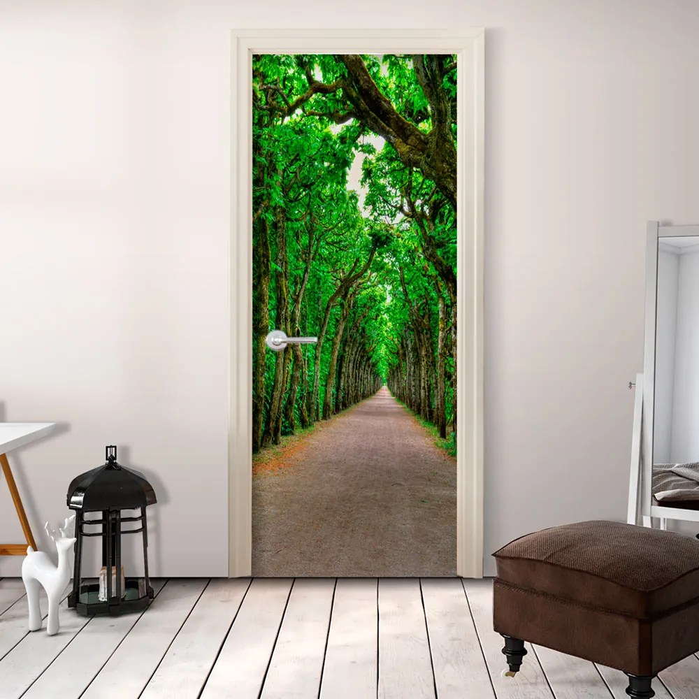 Fototapeta na dveře Bimago - Mysterious Alley + lepidlo zdarma 100x210 cm