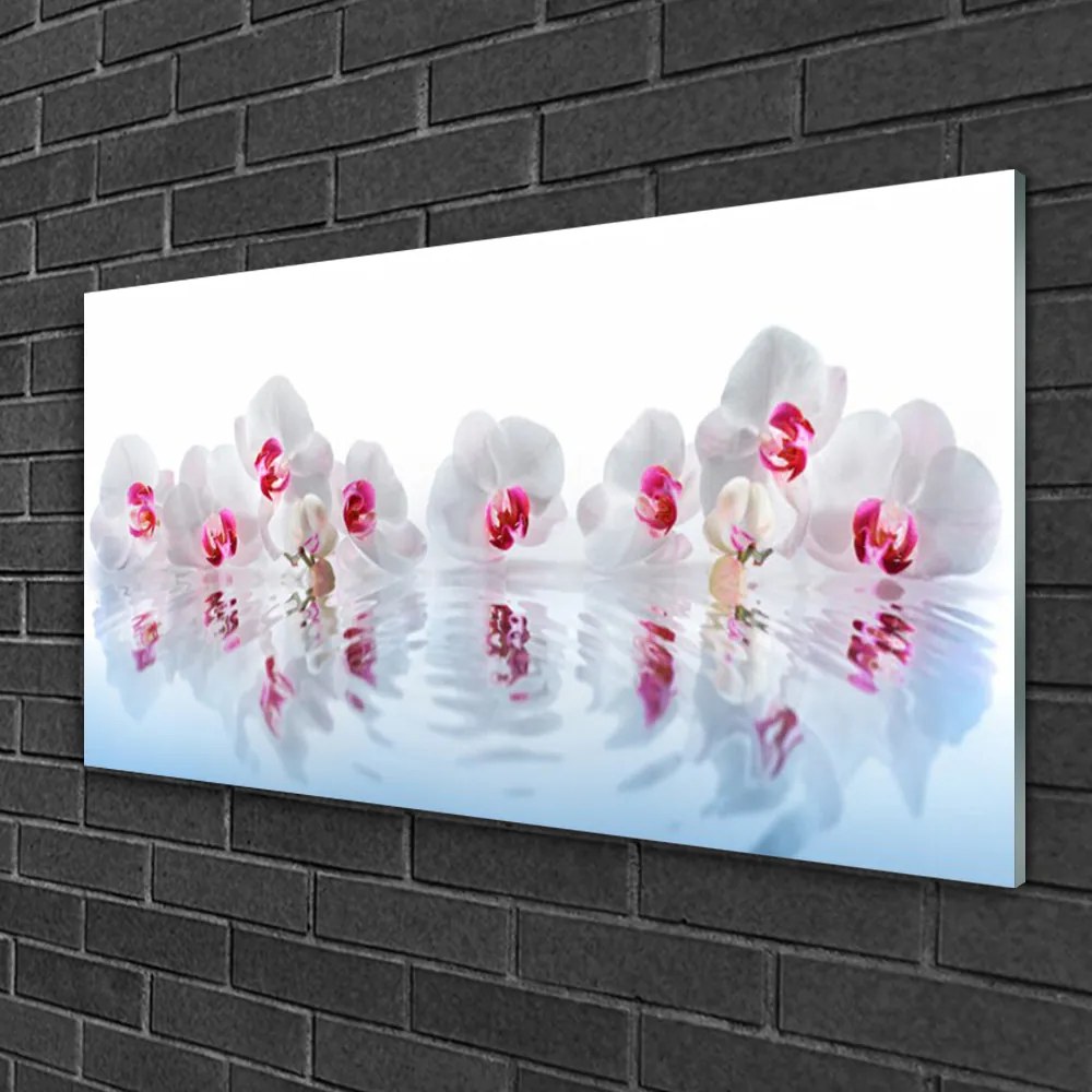 Obraz na skle Květiny Rostlina Příroda Umění 140x70 cm