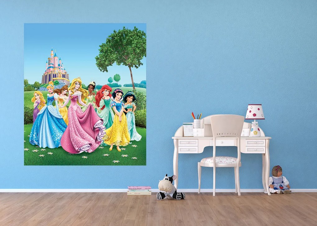 Dětská vliesová fototapeta na zed' Princezny, Disney | 180 x 202 cm | DFTDNXL 5112