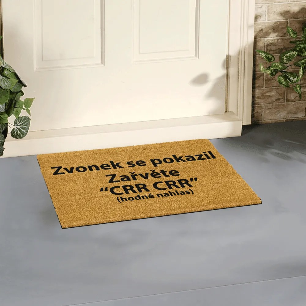 Rohožka z přírodního kokosového vlákna Artsy Doormats Crr!, 40 x 60 cm