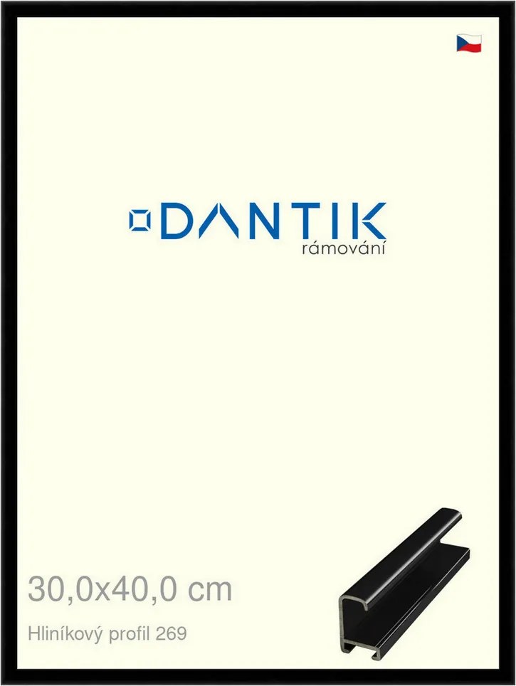 DANTIK rámeček 30x40 | ALU profil 7269 Černá lesklá (Plexi Čiré)