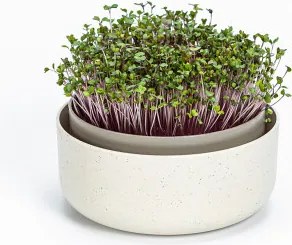 Plastia Microgreens - slonová kost s kávovou sedlinou 196028