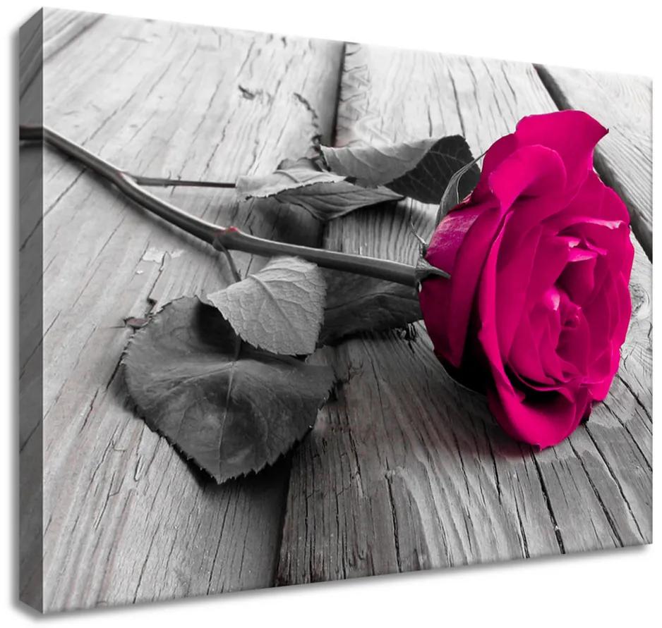 Gario Obraz na plátně Růžová růže Velikost: 40 x 30 cm