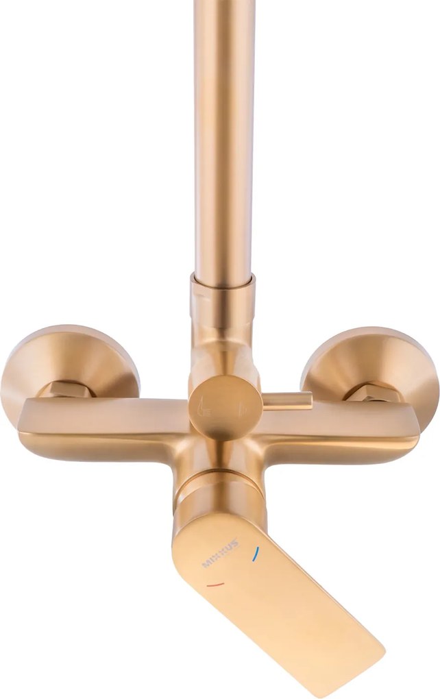 ALEX 003J BRUSHED GOLD