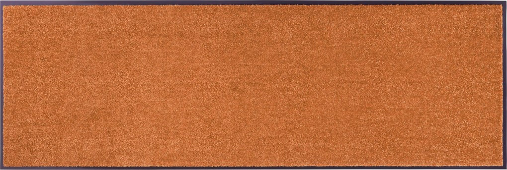 Hanse Home, Rohožka Wash & Clean 101469 Orange, 60x180, oranžová, chodba / předsíň