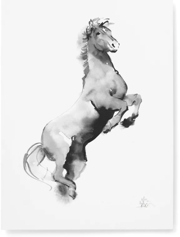 Plakát Horse 30x40