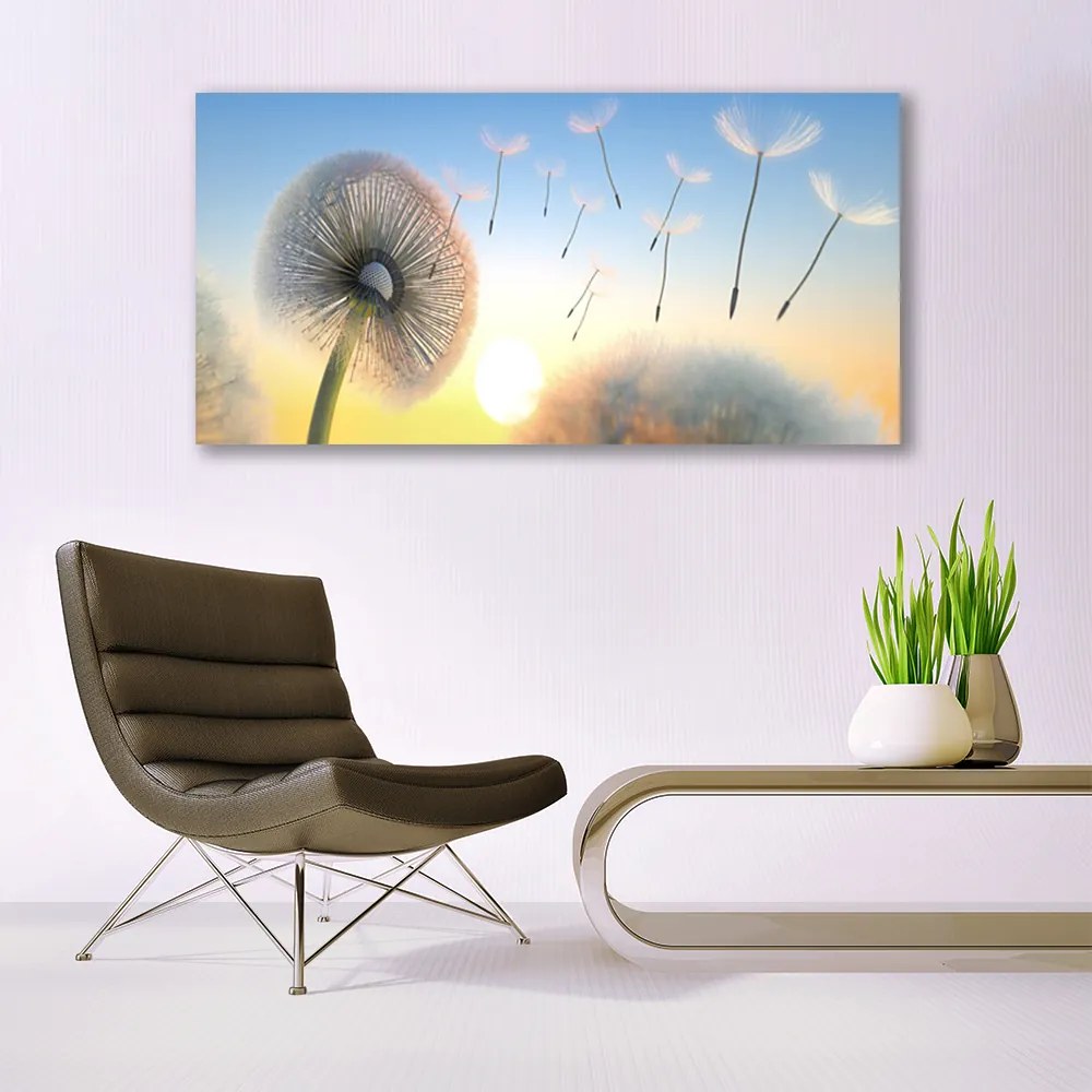 Plexisklo-obraz Pampeliška Květiny 120x60 cm