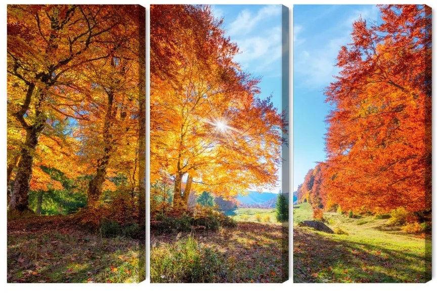 Vícedílný obraz Barevné Podzimní Stromy Nedostatek Nedostatek Přírodní plátno 150x100