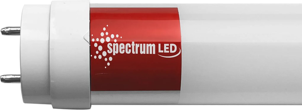 Spectrum LED Rea, LED Tube Warm White 60CM T8 230V 8,5W WOJ+22300, OSW-12001