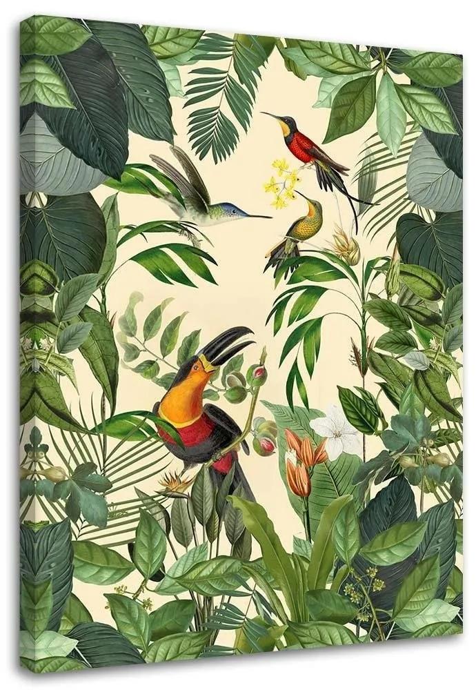 Gario Obraz na plátně Tropický tukan - Andrea Haase Rozměry: 40 x 60 cm