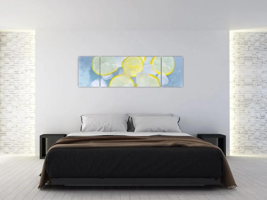 Obraz citrónů v ledu (170x50 cm)