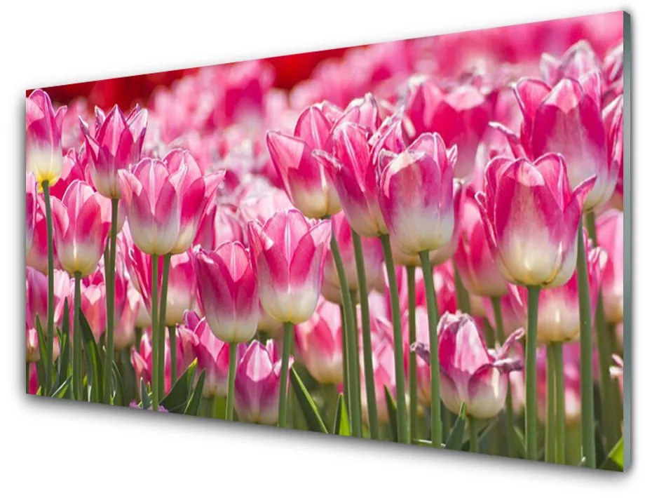 Obraz na skle Tulipány Květiny Příroda 140x70 cm