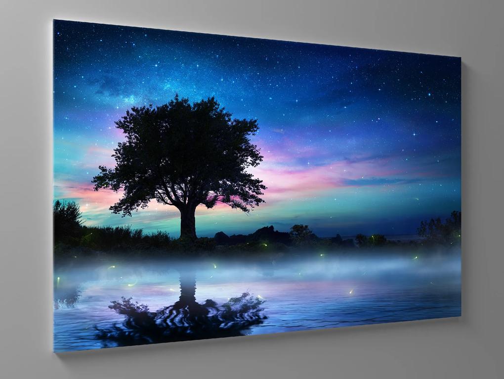 Liox Obraz strom pod hvězdami Rozměr: 100 x 65 cm