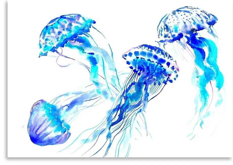 Plakát Jellyfish