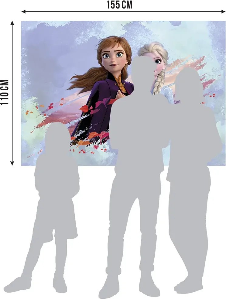 Dětská vliesová fototapeta na zed' Ledové Království Sestry, Disney | 155 x 110 cm | DFTDNM 5263