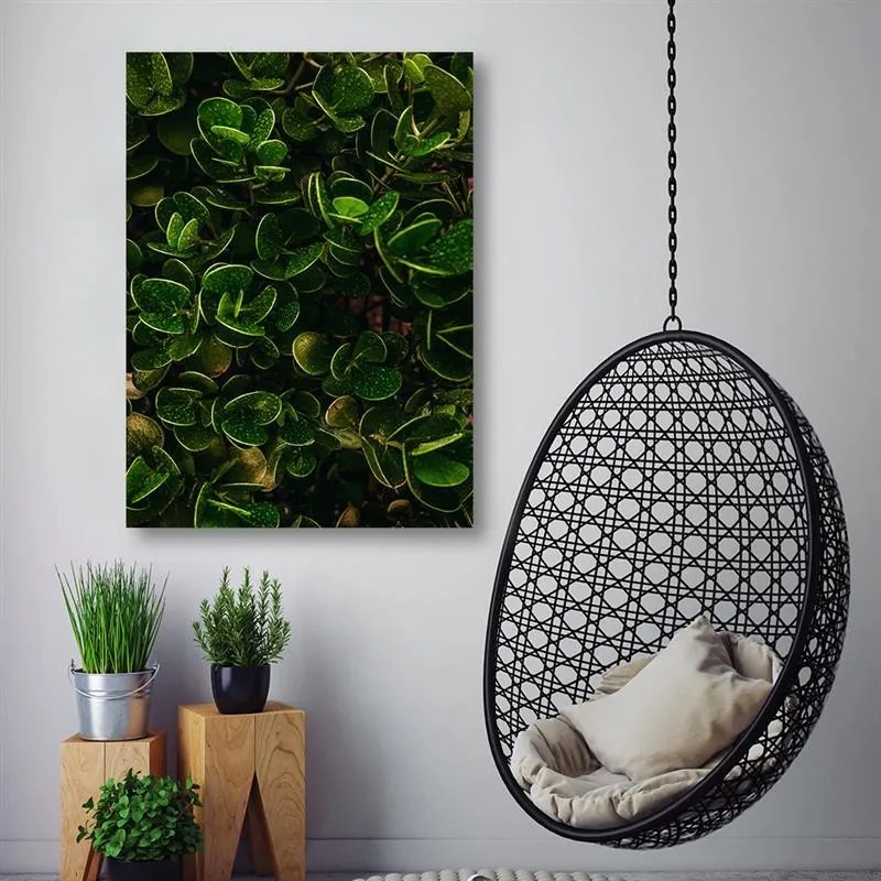 Gario Obraz na plátně Zelené listy exotických rostlin Rozměry: 40 x 60 cm