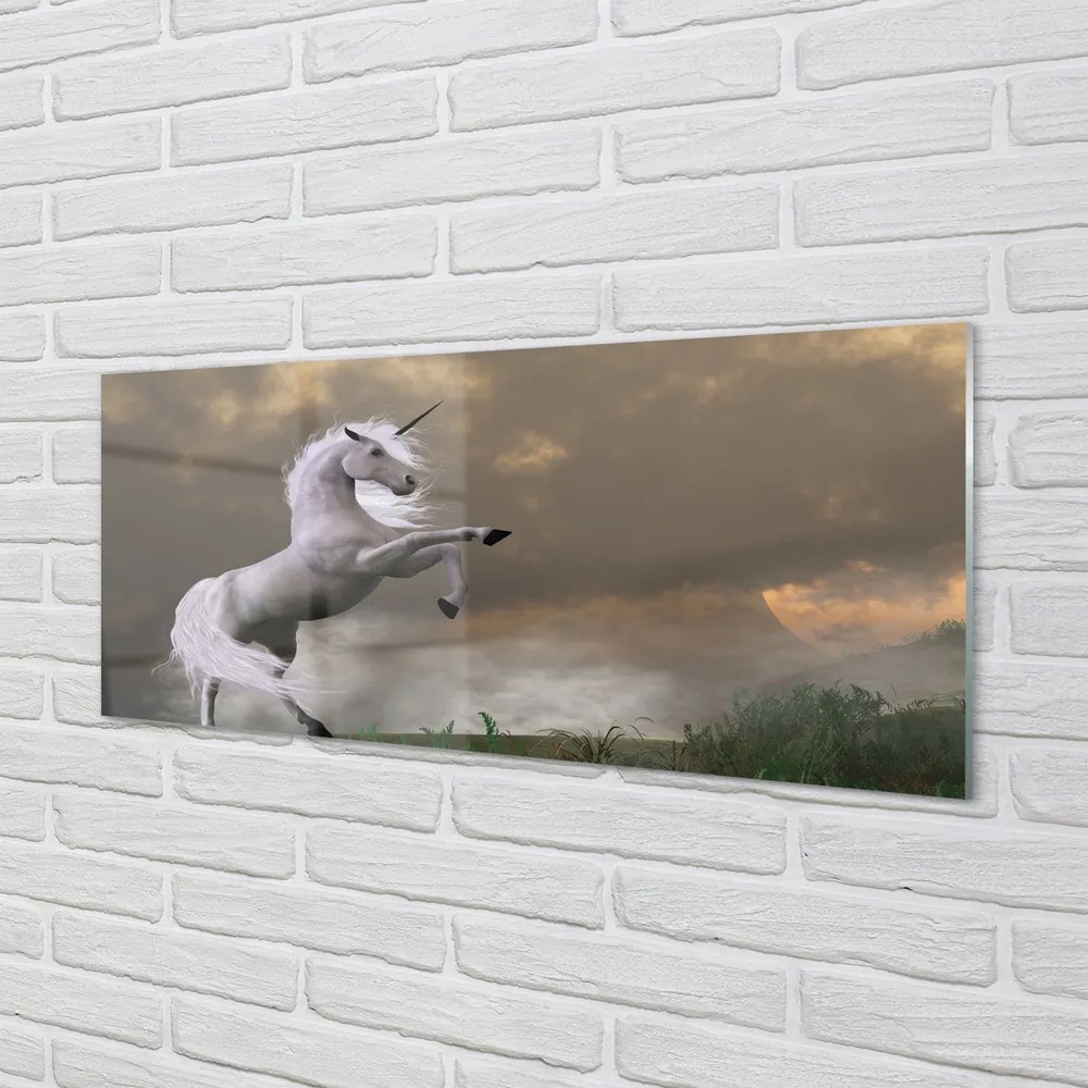 akrylový obraz Unicorn top 120x60 cm