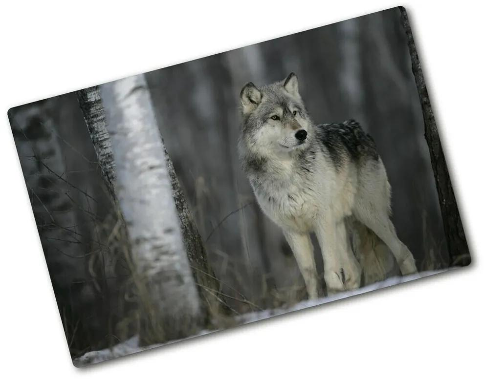 Wallmuralia Kuchyňská deska skleněná Šedý vlk 80x52 cm