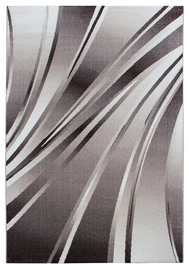 Hnědý koberec 120x170 cm Parma – Ayyildiz Carpets