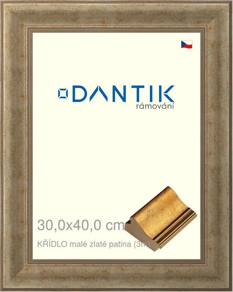 DANTIK rámeček 30x40 | KŘÍDLO malé zlaté patina (Plexi Čiré)