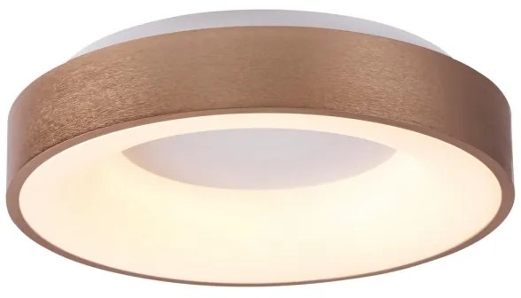 Rabalux 5053 - LED Stropní svítidlo CARMELA LED/50W/230V