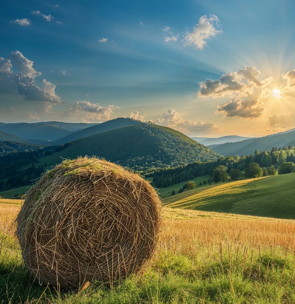 Obraz na plátně - Zapomenutý balík sena u pole FeelHappy.cz Velikost obrazu (šířka x výška): 120 x 80 cm