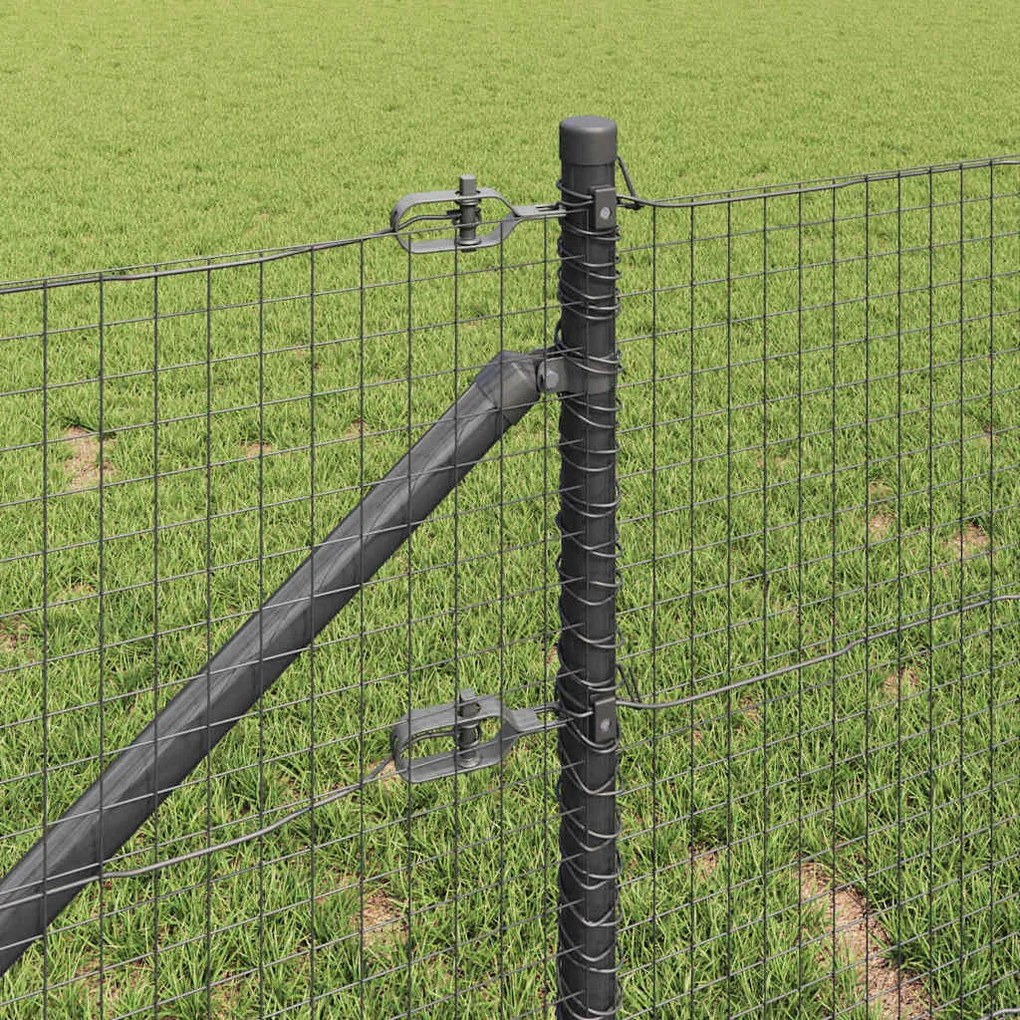 Svařované drátěné ploty s hroty 10 x 0,8 m Ocel potažená PVC 3352162