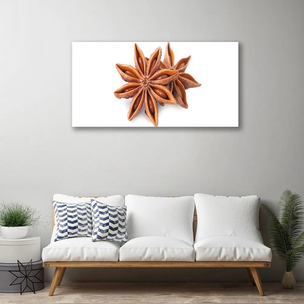 Obraz na plátně Anýz Hvězda Příprava 140x70 cm