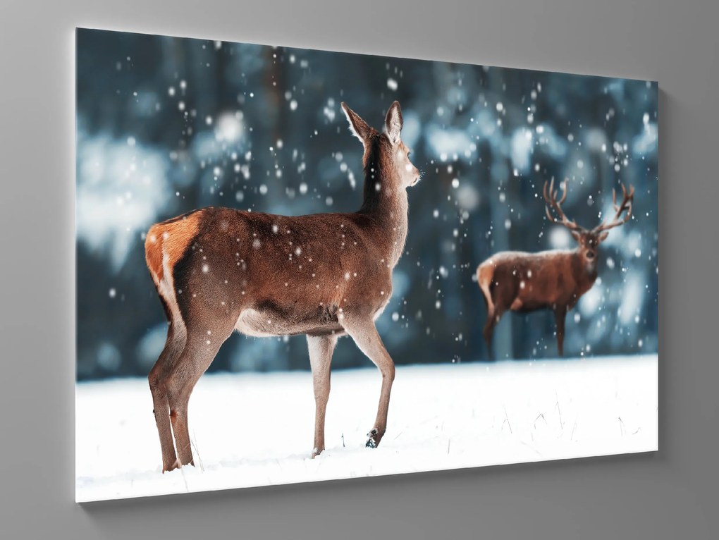 Liox Obraz srna a jelen v zimní krajině Rozměr: 90 x 60 cm