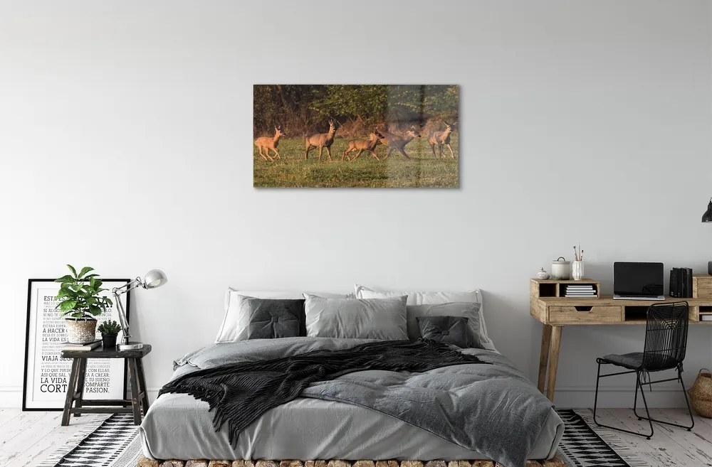 Obraz na skle Deer Golf svítání 100x50 cm