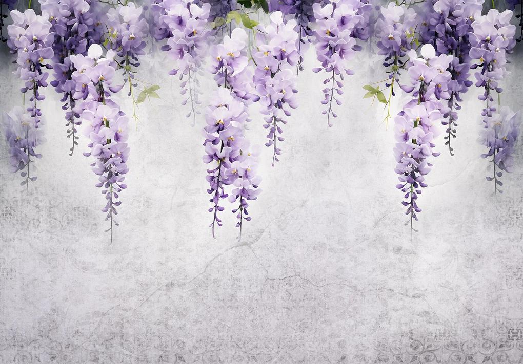 Postershop  Flowers Violet Wisteria Romantic (1)Fototapety vliesové: - 368x254 cm