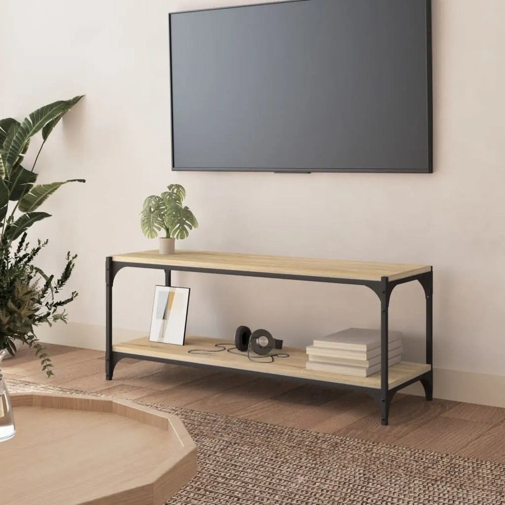 vidaXL TV skříňka 100 x 33 x 41 cm kompozitní dřevo a ocel [819347] Barva: šedá sonoma