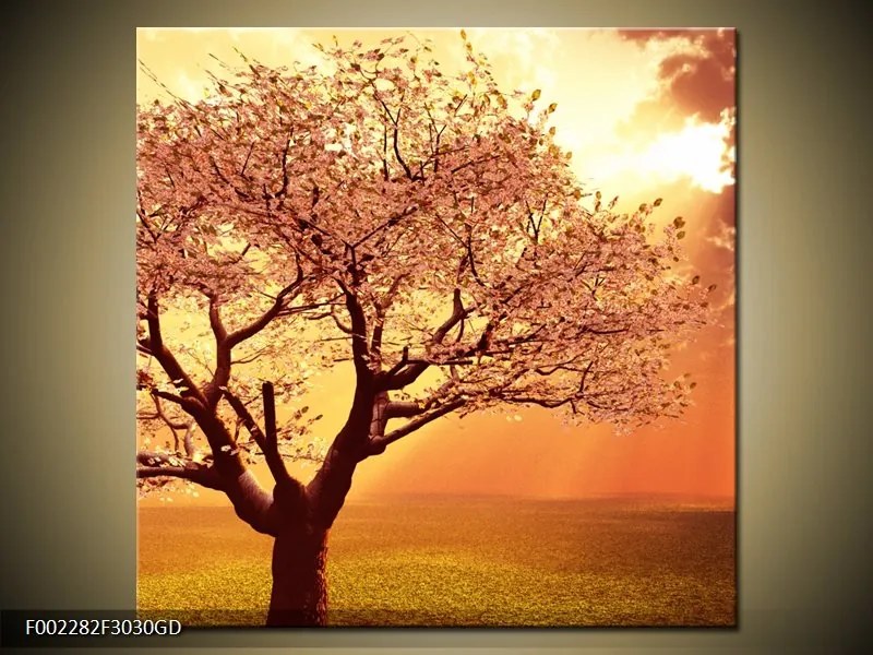 Obraz rozkvetlého stromu (), 40 dalších rozměrů