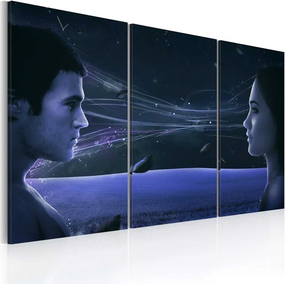 Obraz na plátně Bimago - Magnetic gaze - triptych 60x40 cm