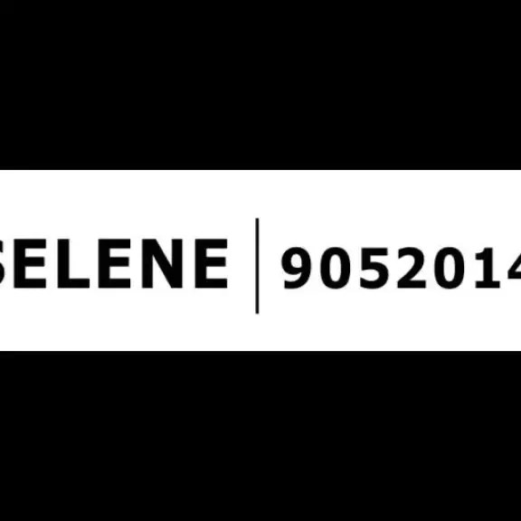 Podhledové svítidlo Selene bílé 2