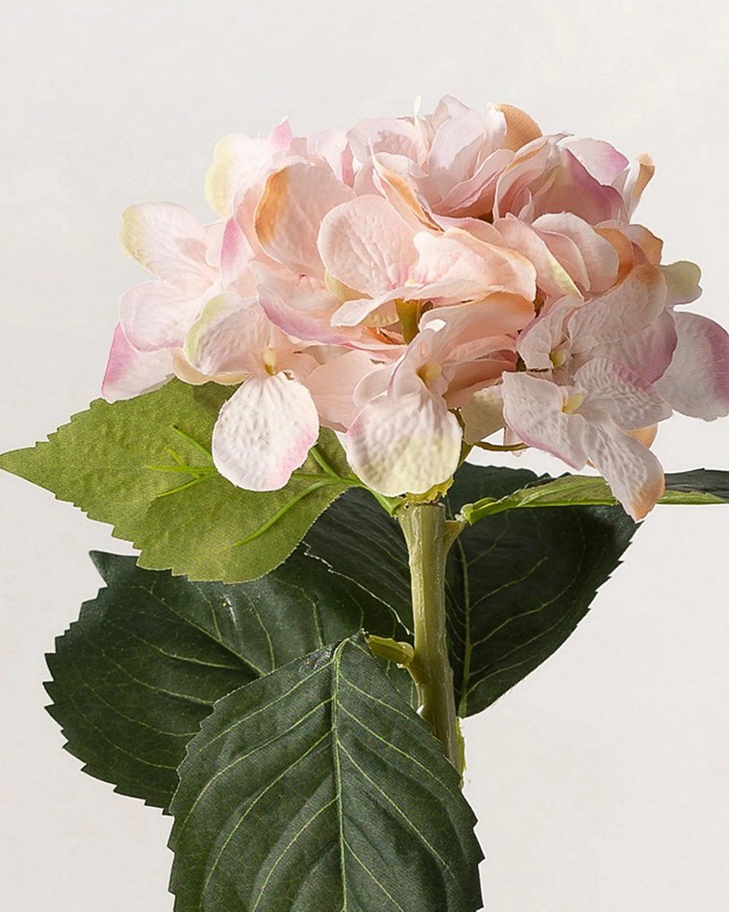 Větvička hortenzie 50 cm