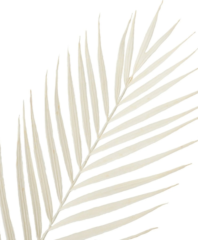 Dekorativní větvička Palmera 95 cm white