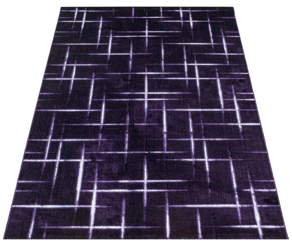Ayyildiz Kusový koberec COSTA 3521, Lila Rozměr koberce: 240 x 340 cm